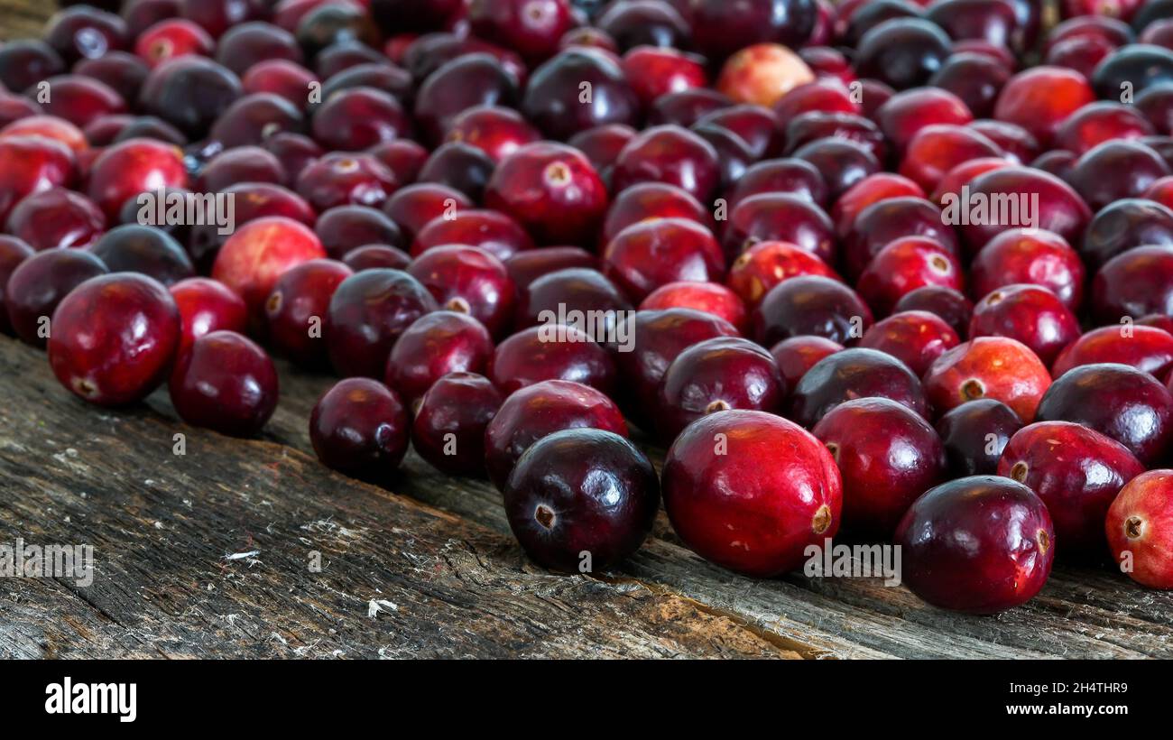 Cranberry background on rustic wooden background with text space Stock ...