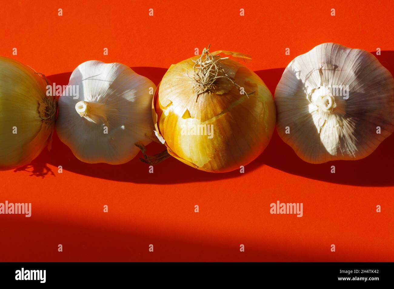 Garlic and onions on an orange background illuminated by a streak of ...