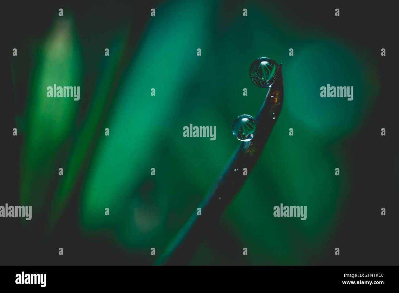 Beautiful close up shot water hi-res stock photography and images - Alamy