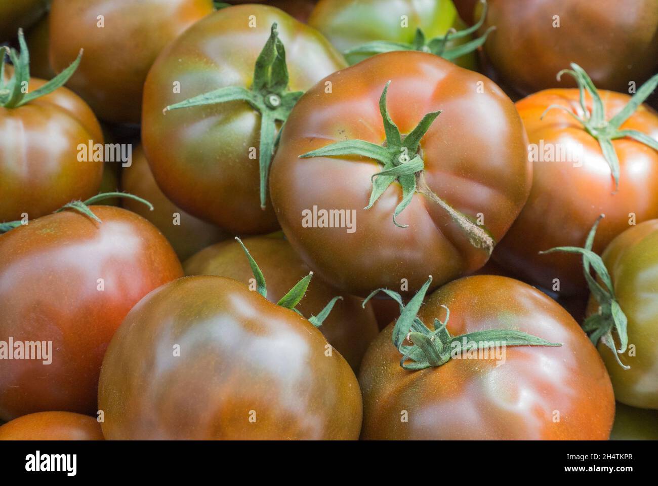 Tomatoes on Display at Farmer's Market Stock Photo - Alamy