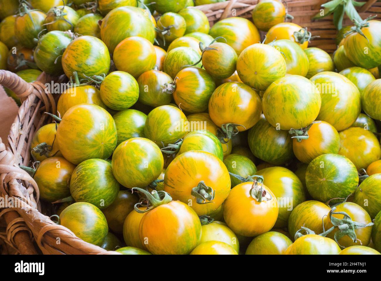 Tomatoes on Display at Farmer's Market Stock Photo - Alamy