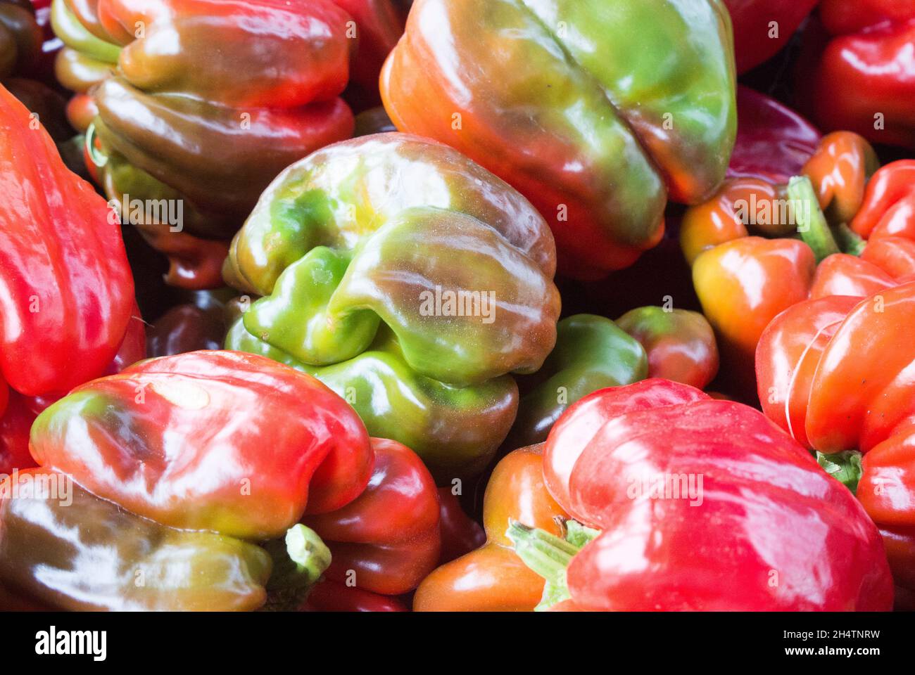 Turkish Peppers - Hot Stock Photo - Alamy