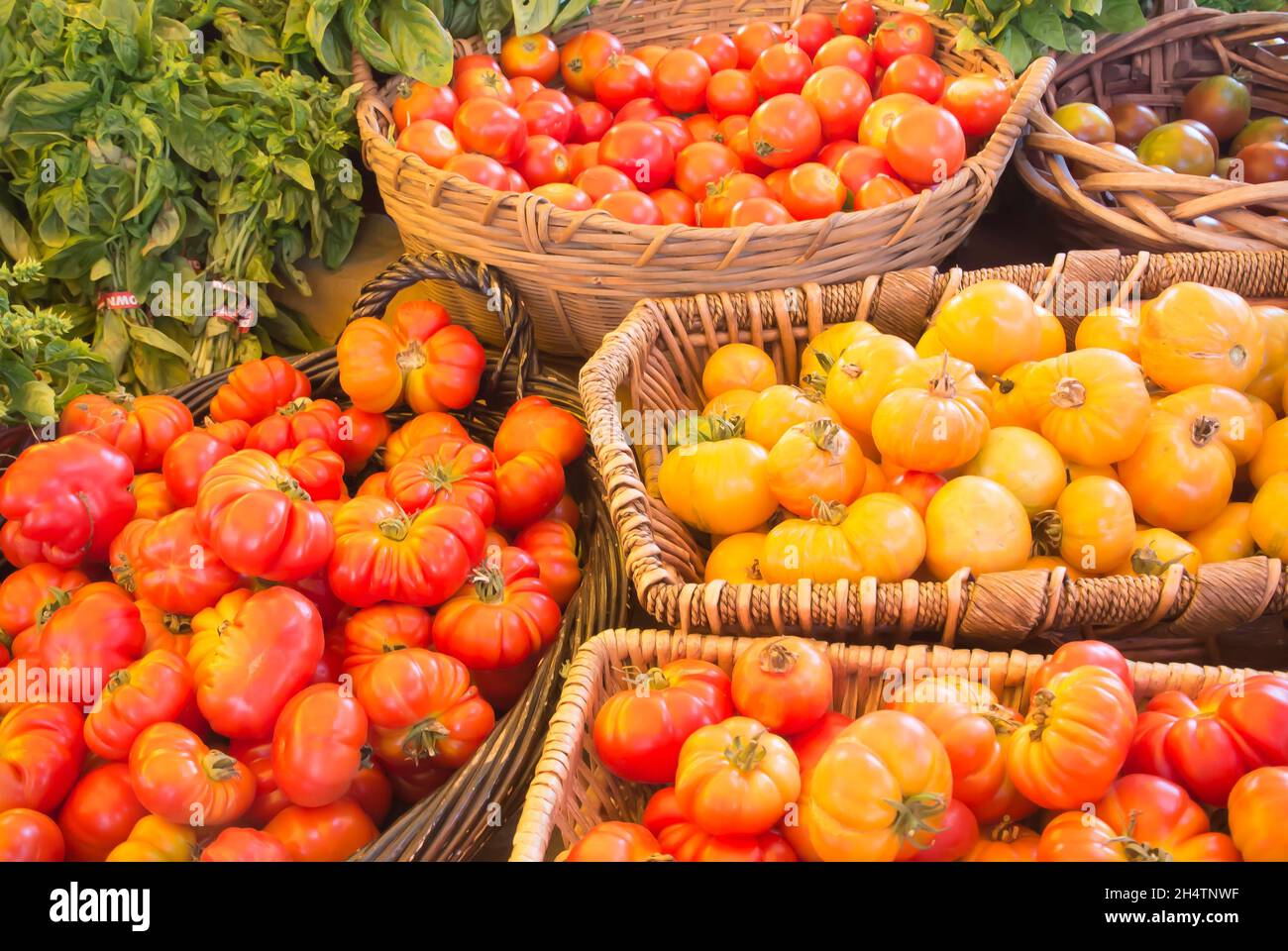 Tomatoes on Display at Farmer's Market Stock Photo - Alamy