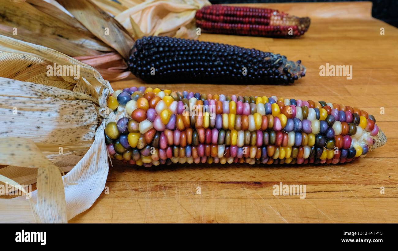 Different colors of corn hi-res stock photography and images - Alamy