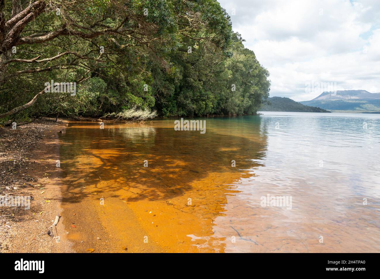 Lake Okataina on the North Island of New Zealand Stock Photo - Alamy
