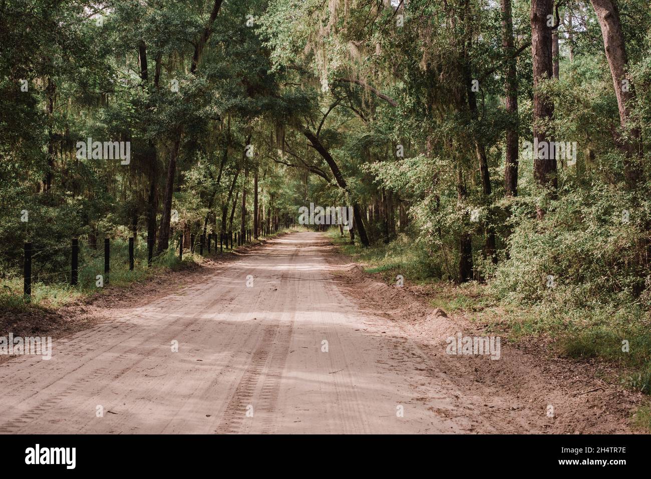 Yamacraw island hi-res stock photography and images - Alamy