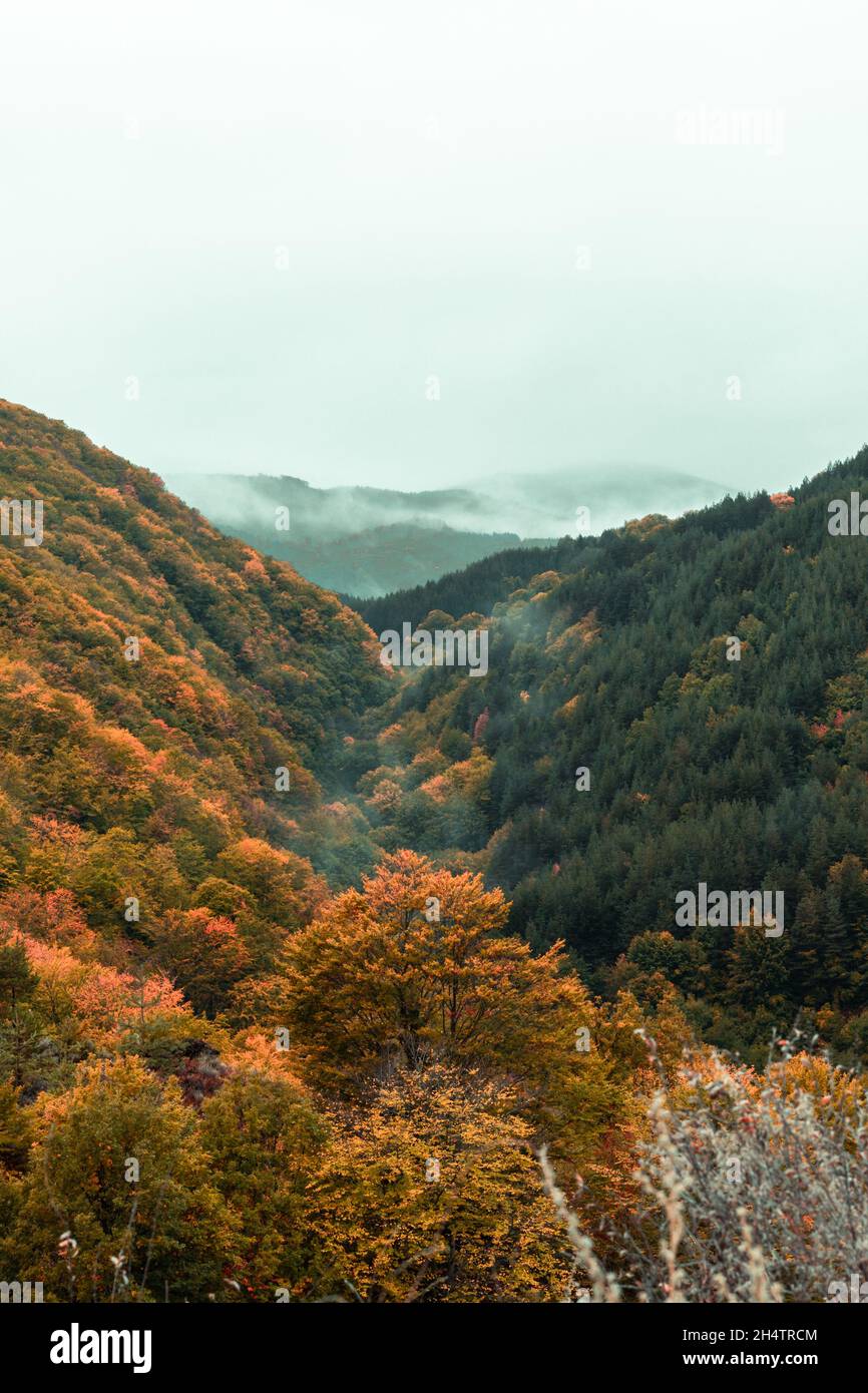 Meet different hi-res stock photography and images - Alamy