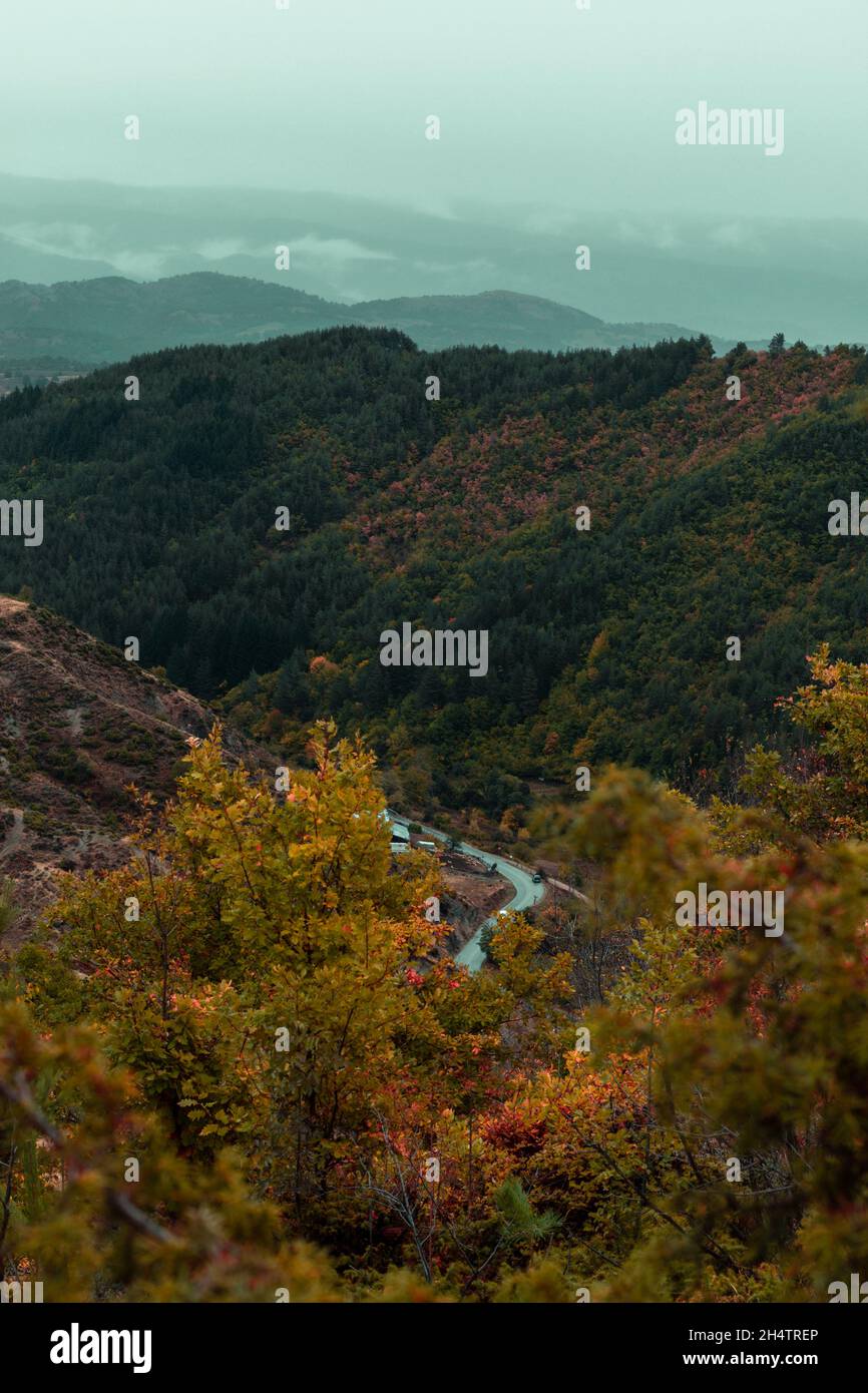 Beautiful landscape road between trees hi-res stock photography and ...