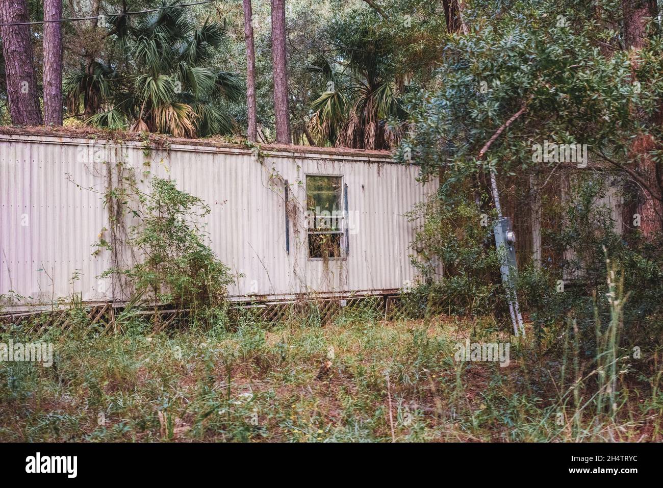 Yamacraw island hi-res stock photography and images - Alamy