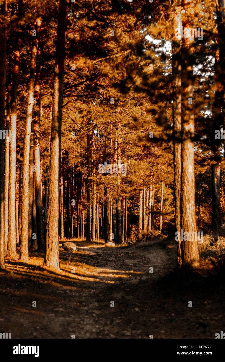 Lonely path hi-res stock photography and images - Alamy