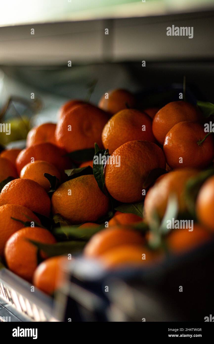 Inside a tangerine hi-res stock photography and images - Alamy