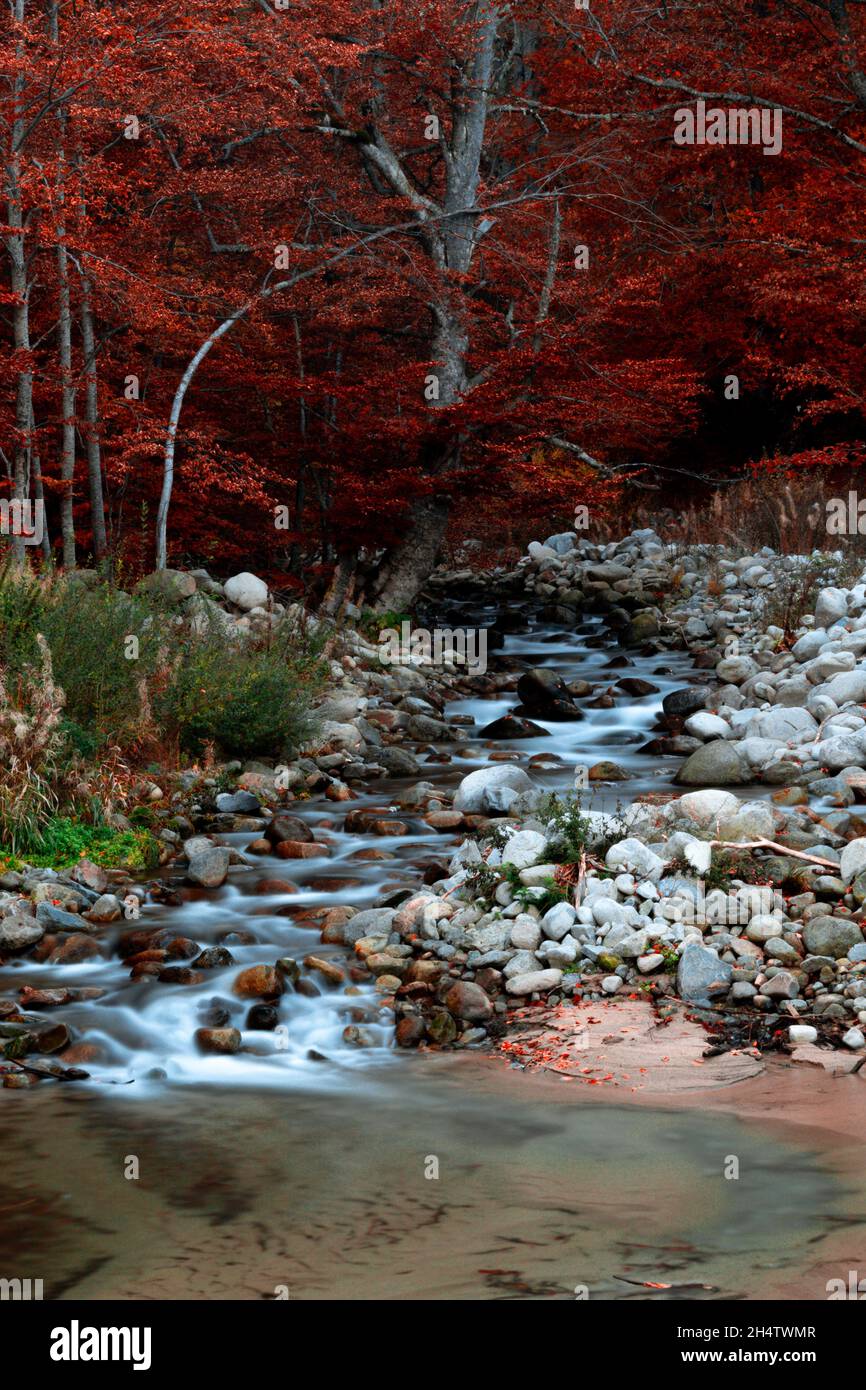 Stones and autumn hi-res stock photography and images - Alamy