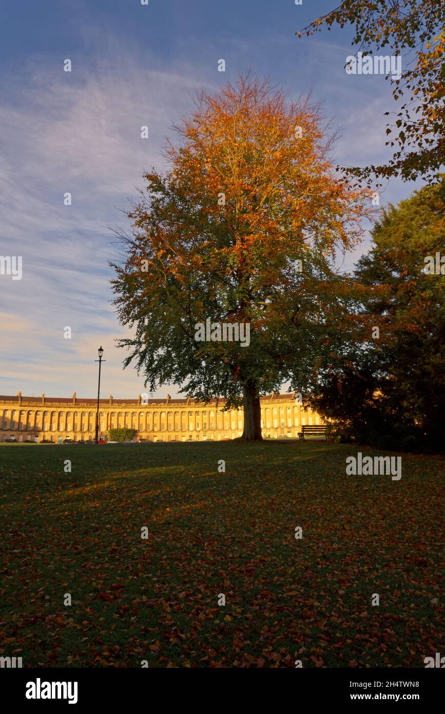Autumn in Bath Stock Photo - Alamy