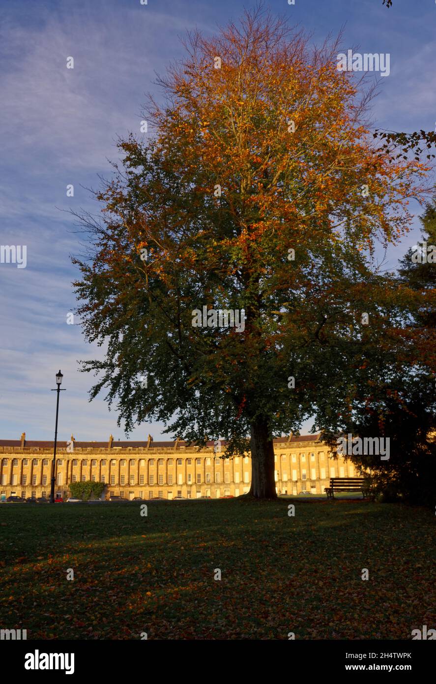 Autumn in Bath Stock Photo - Alamy