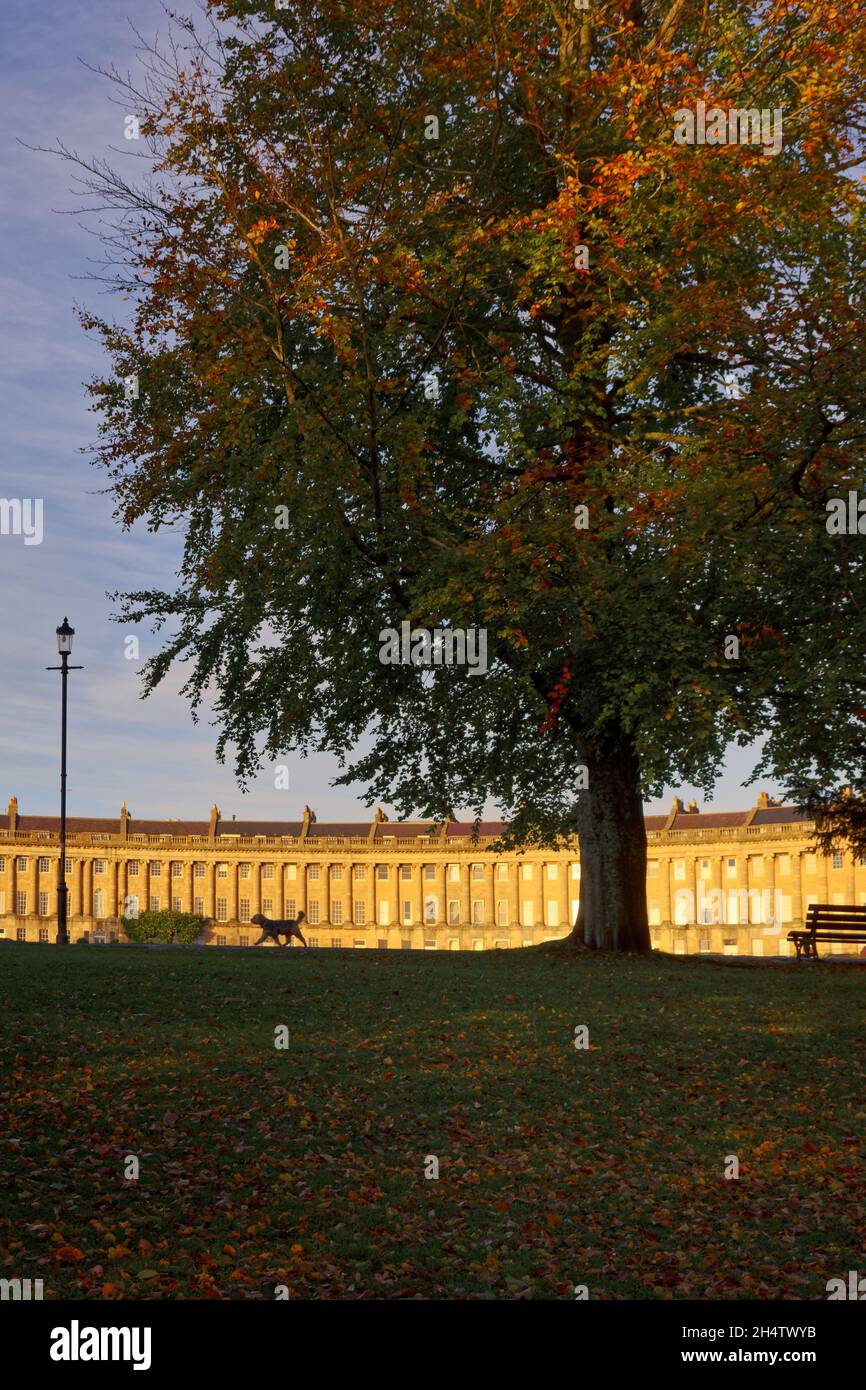 Autumn in Bath Stock Photo - Alamy