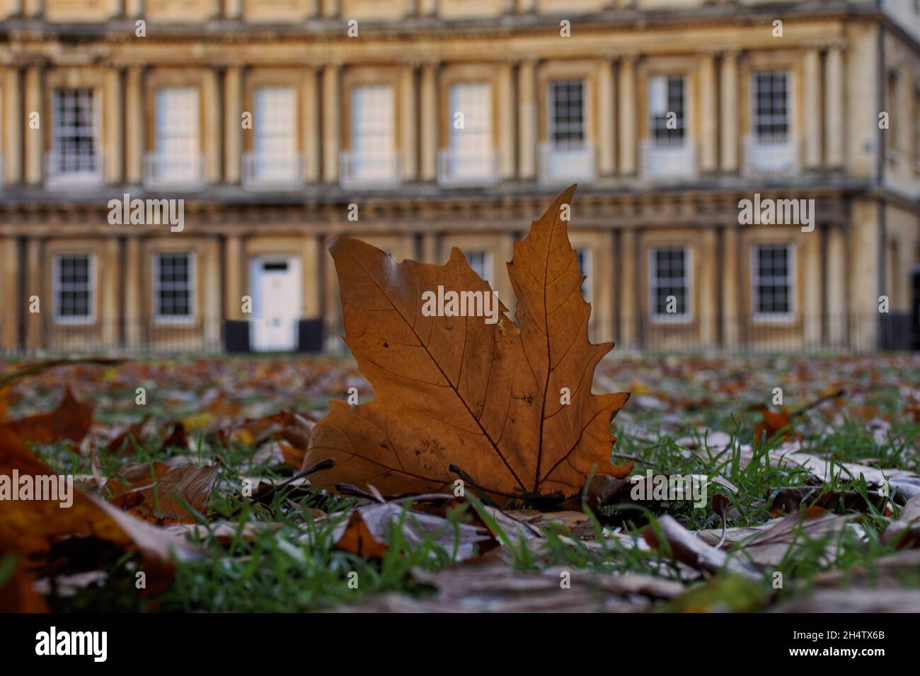 Autumn in Bath Stock Photo - Alamy