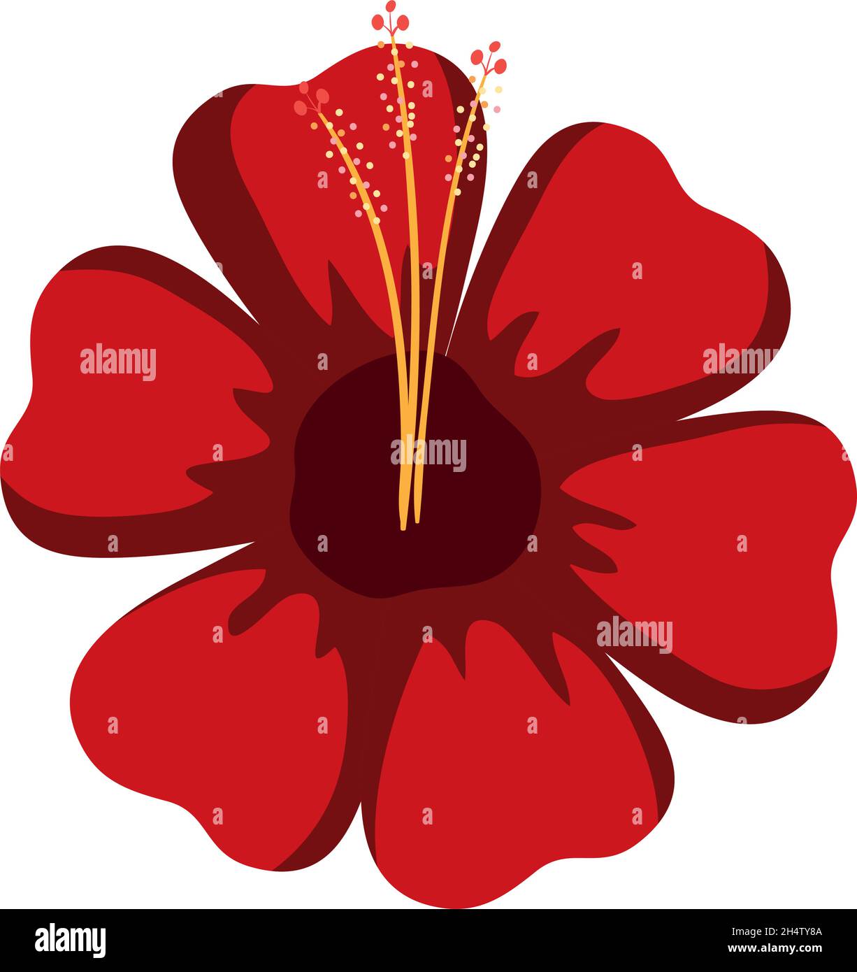 hibiscus tropical flower Stock Vector Image & Art - Alamy