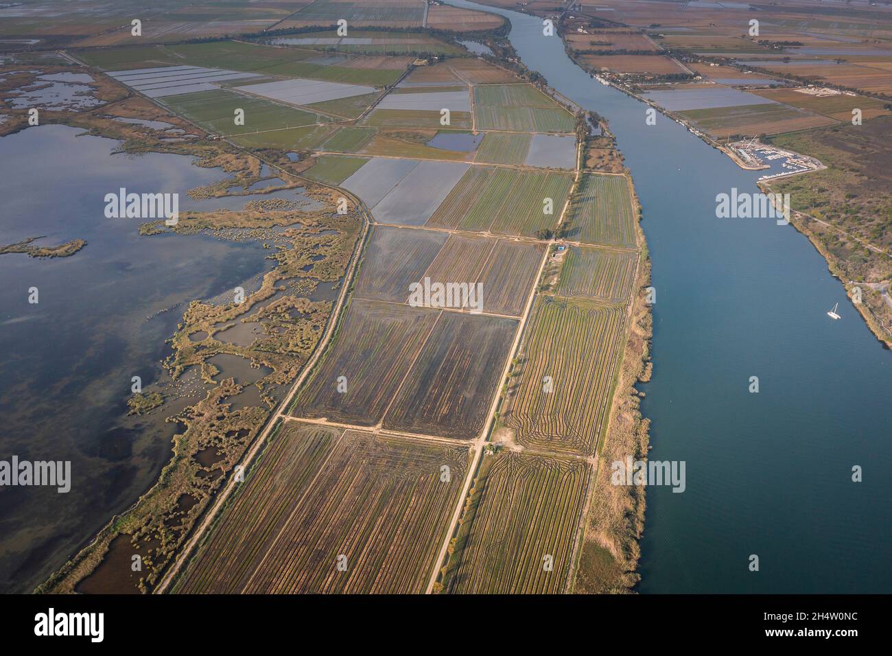 Aerial view of Ebro river and rice fields, in Ebro Delta, Natural Park ...