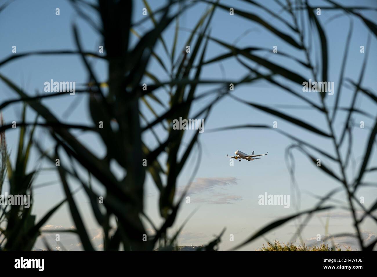 Flying over the Llobregat delta Plane heads Barcelona airport for ...