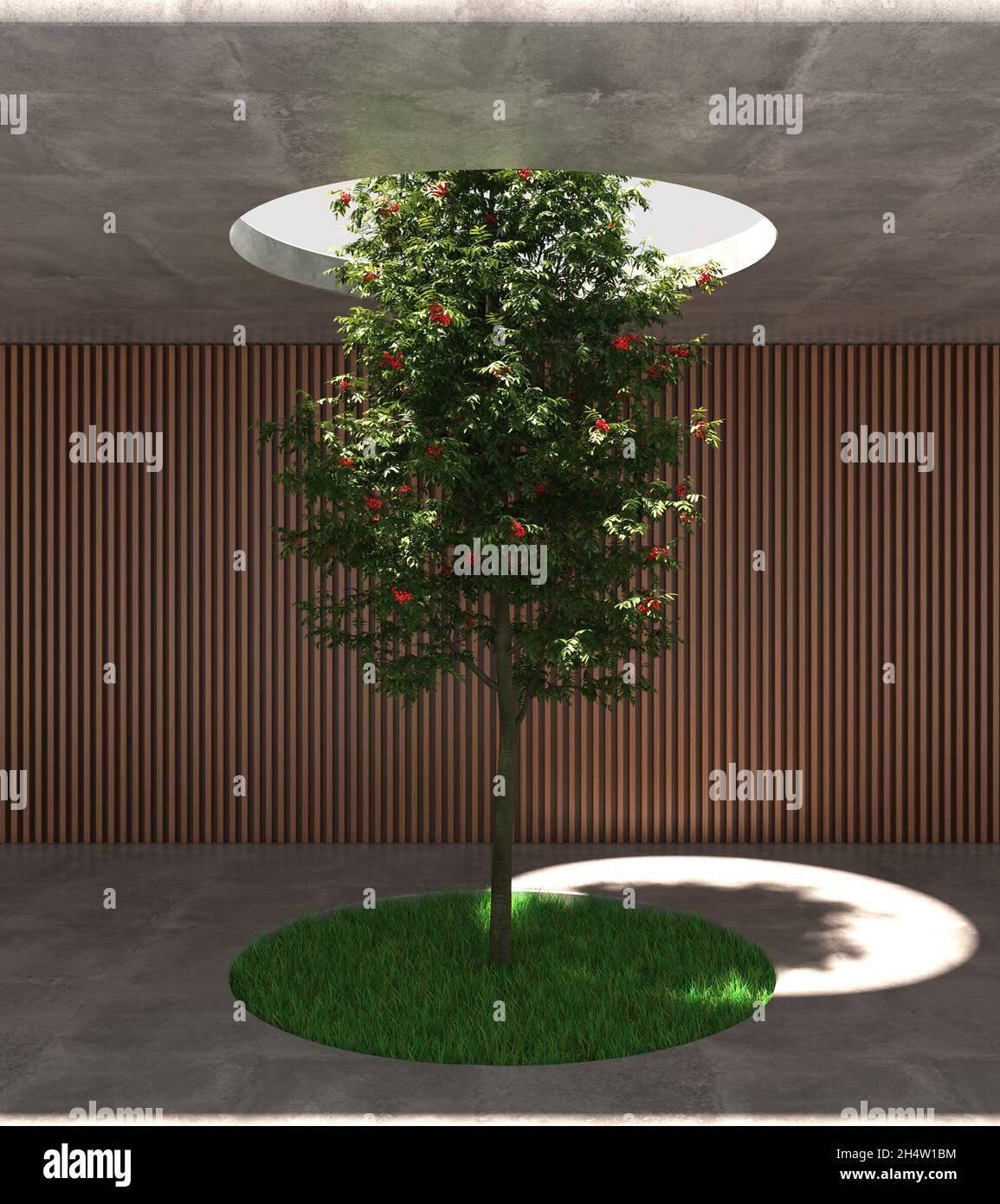 3d rendering of a tree running through a circular hole in the ceiling ...