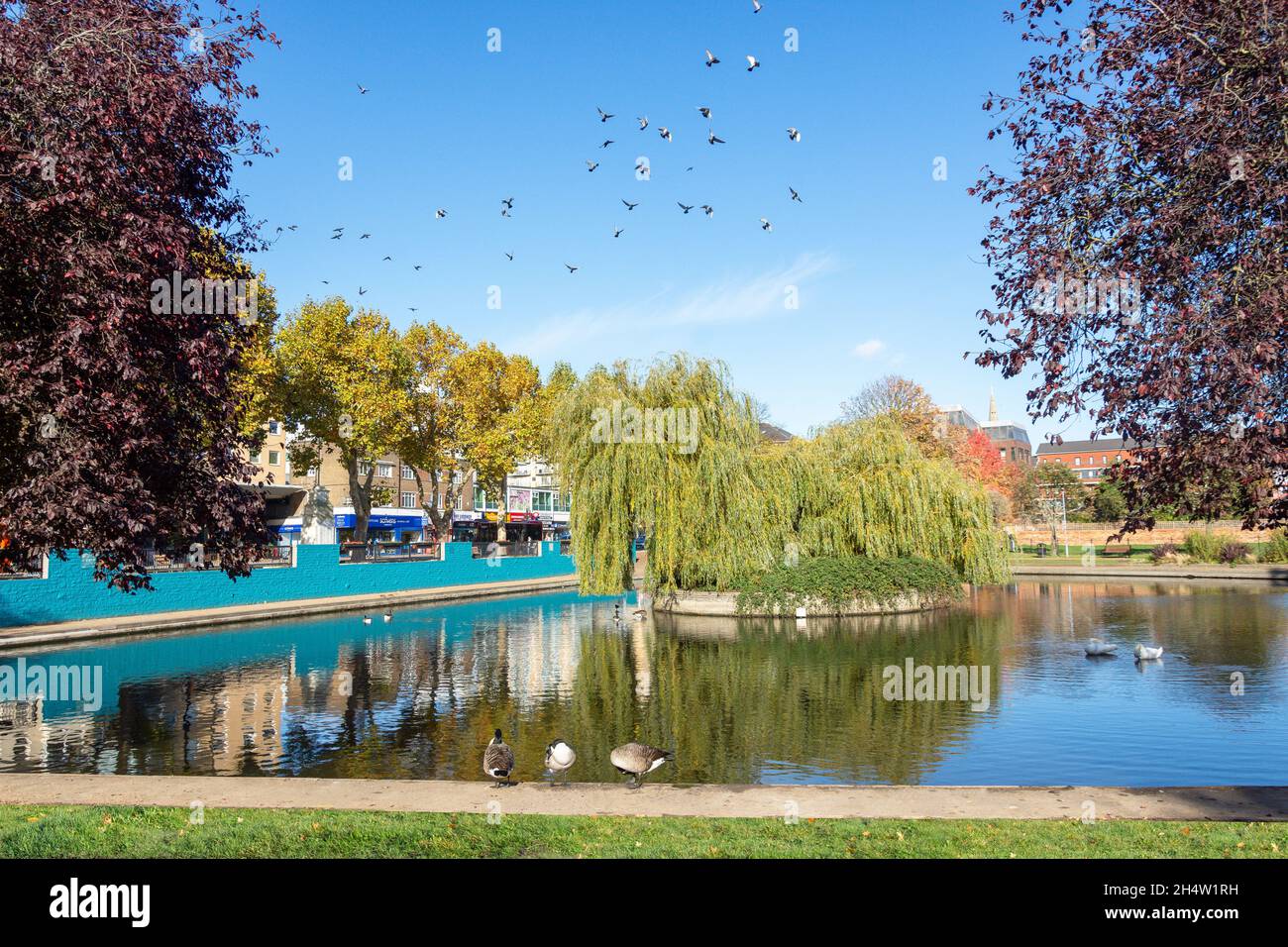 Weeping willow pond on feltham green village suburb high street hi-res ...