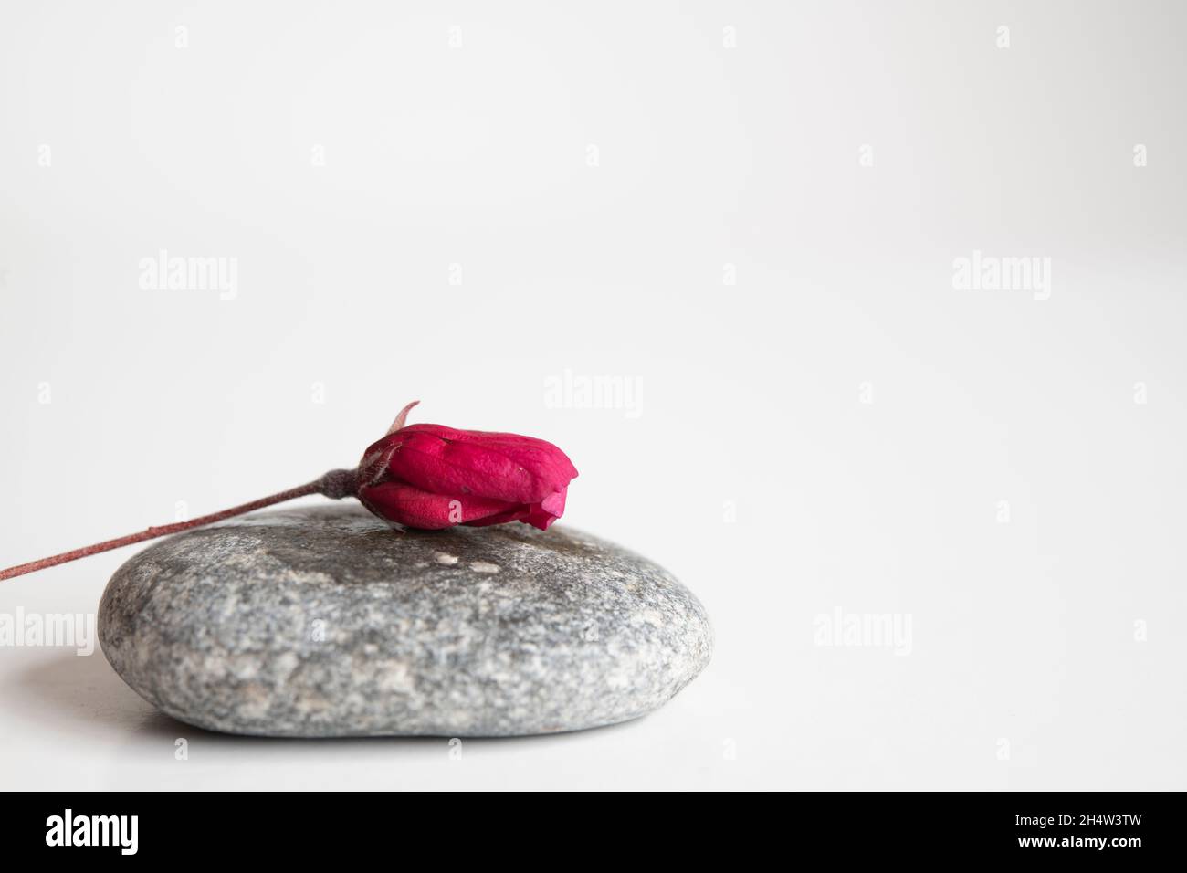 Mindful nature hi-res stock photography and images - Alamy