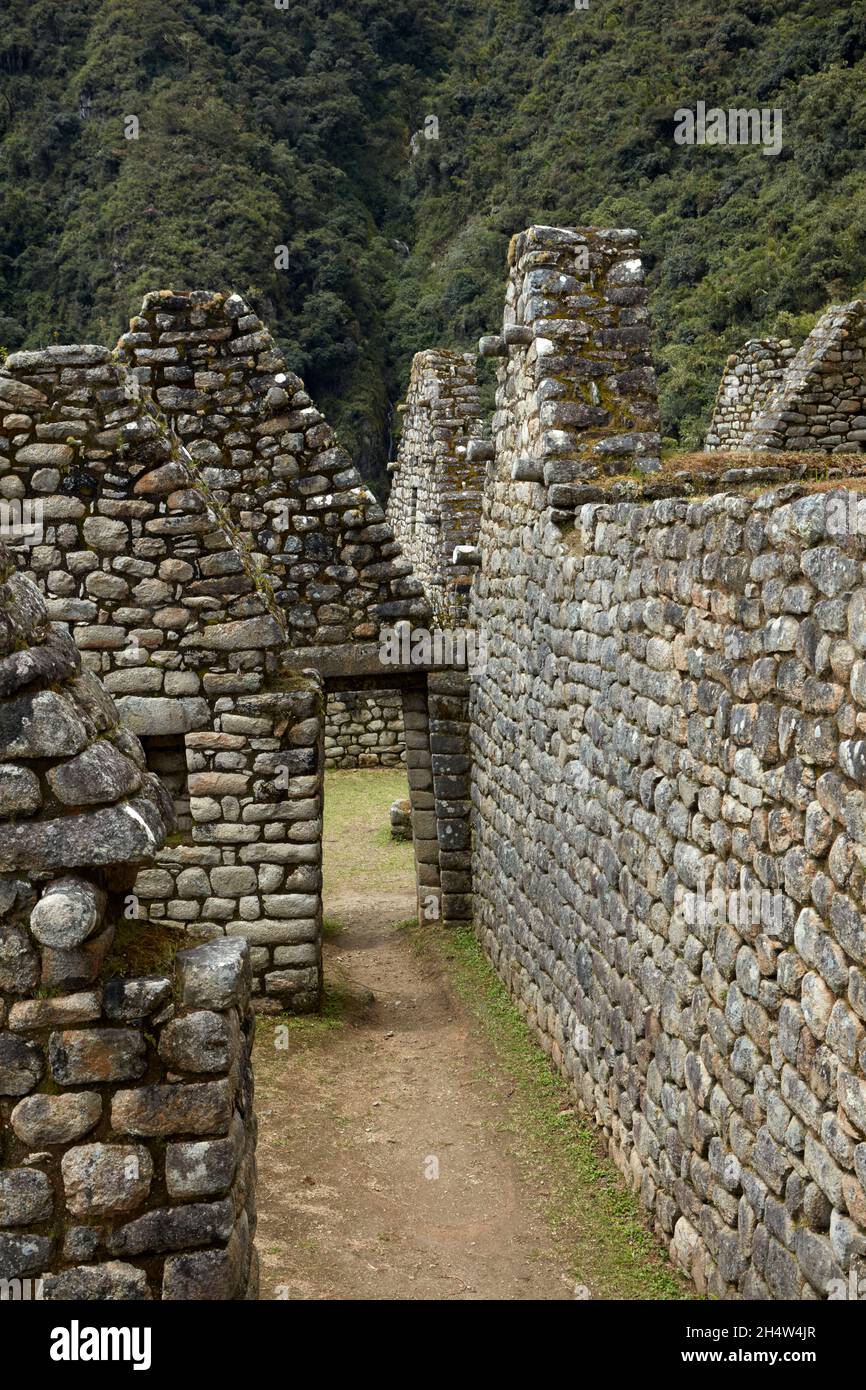 Historic ruins of Inca city at Winaywayna, on the Inca Trail to Machu ...