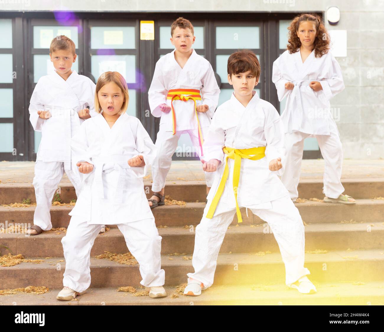 Group of preteen children learning karate movements in schoolyard Stock ...