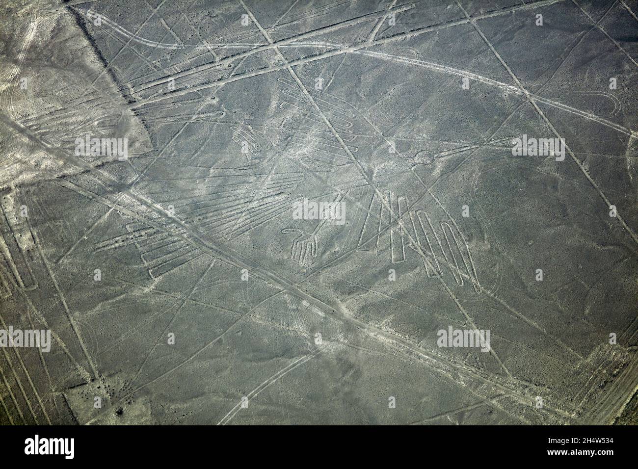 The Condor, Nazca Lines, (ancient geoglyphs and World Heritage Site) in ...