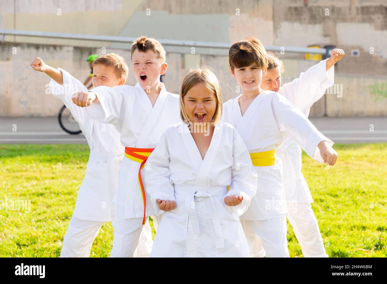 Tween girls and boys exercising taekwondo techniques on green lawn ...