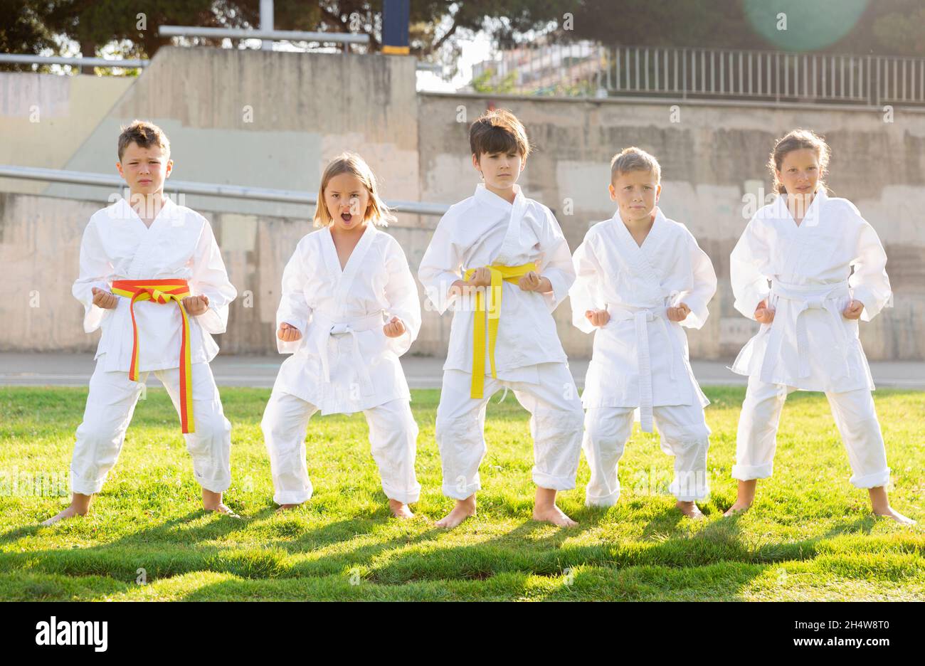 Tween girls and boys exercising taekwondo techniques on green lawn ...