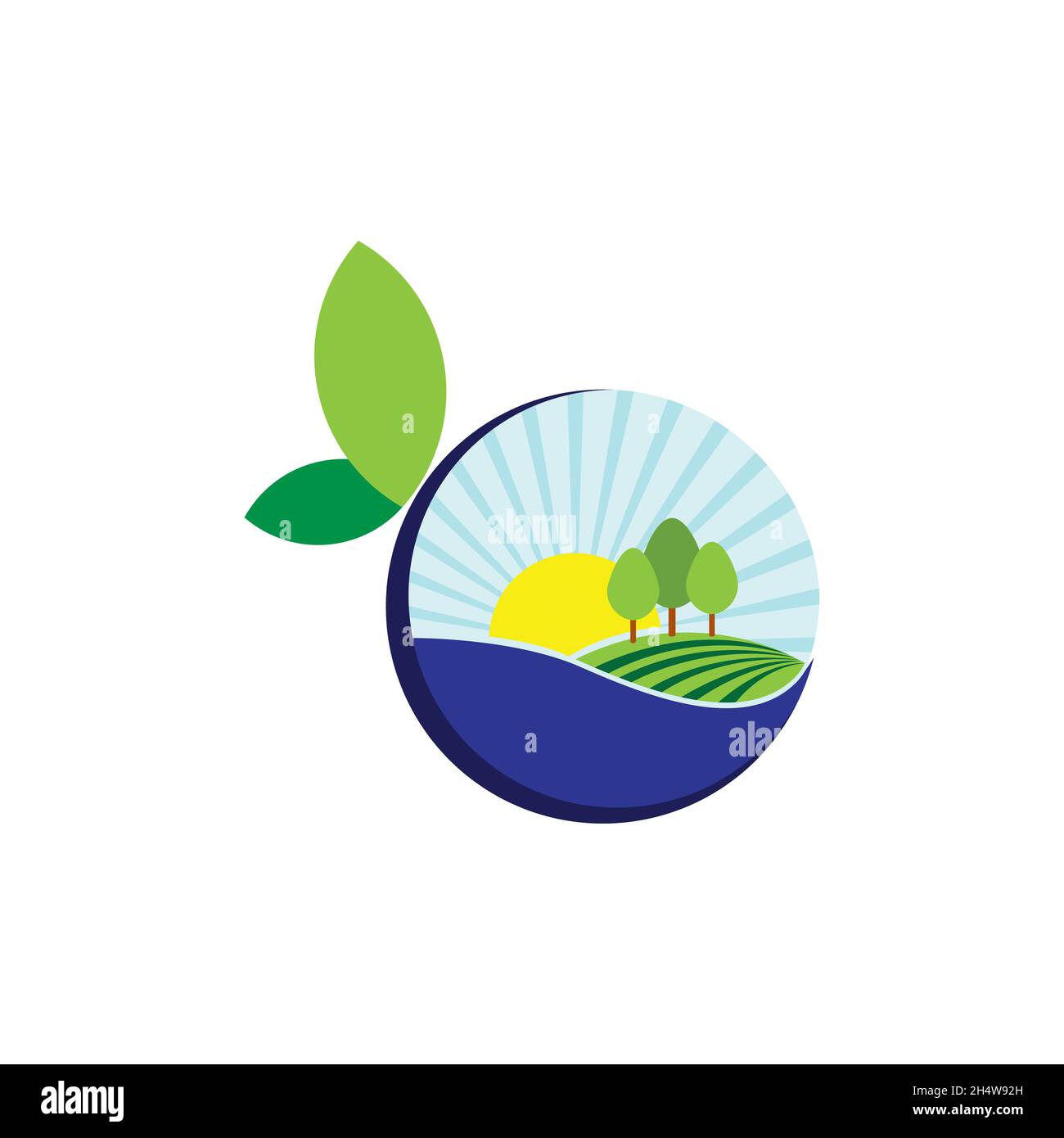 Blueberry farm Stock Vector Images - Alamy