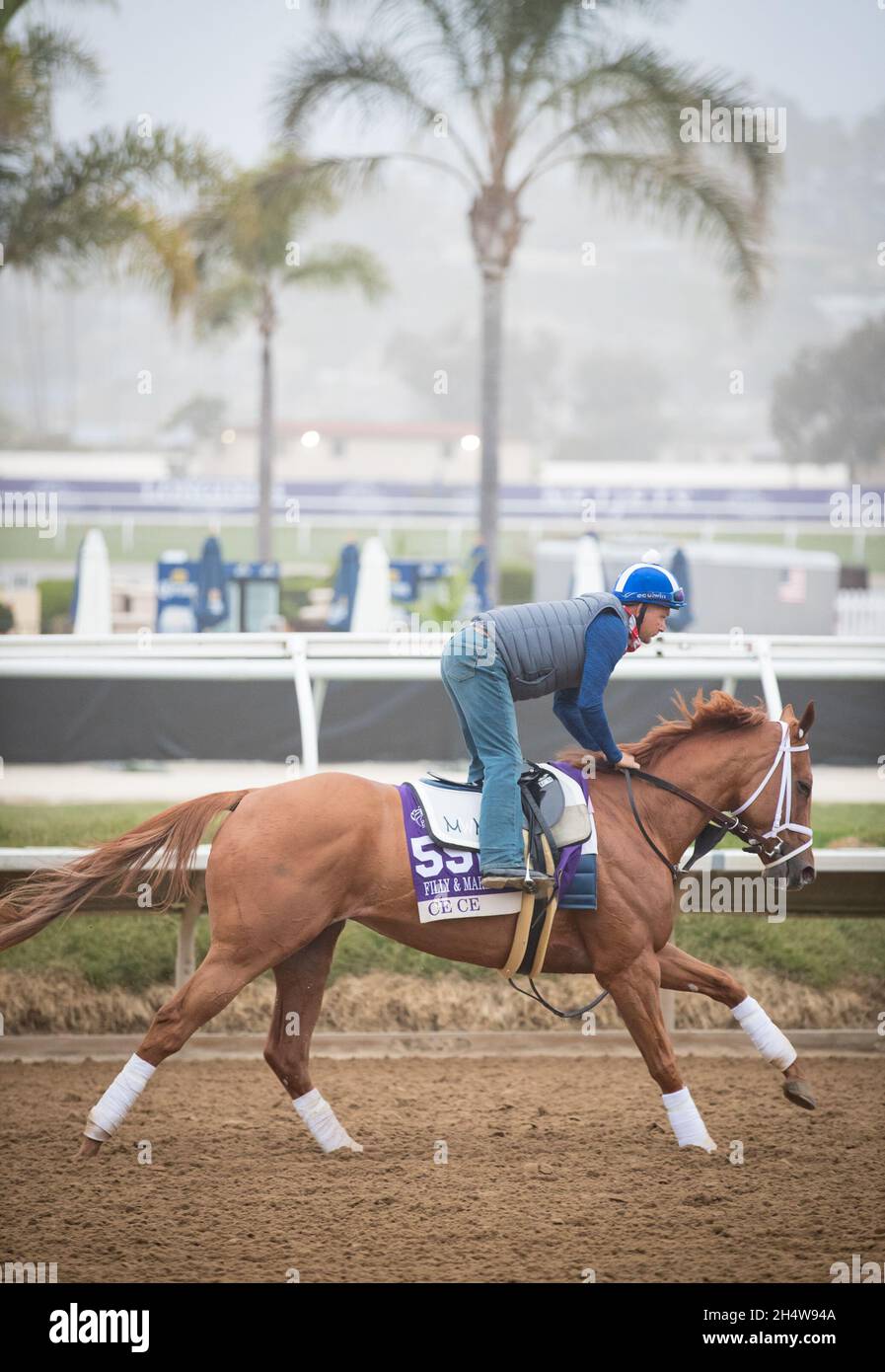 2021 november 04 hi-res stock photography and images - Alamy