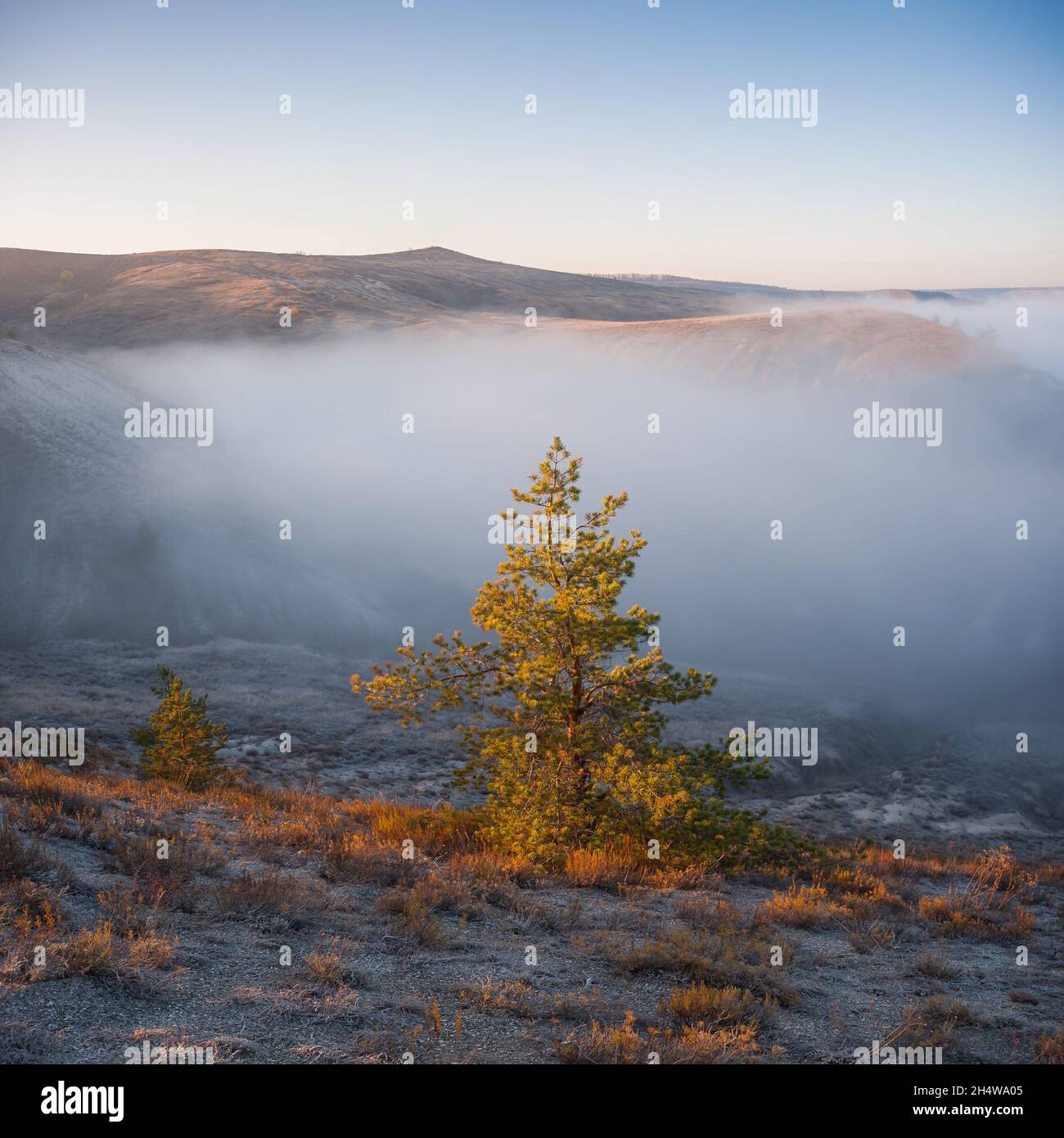 Pine view school hi-res stock photography and images - Alamy