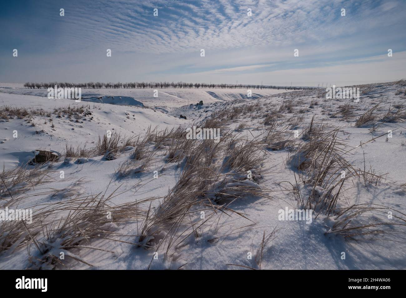 Icy grass hi-res stock photography and images - Alamy