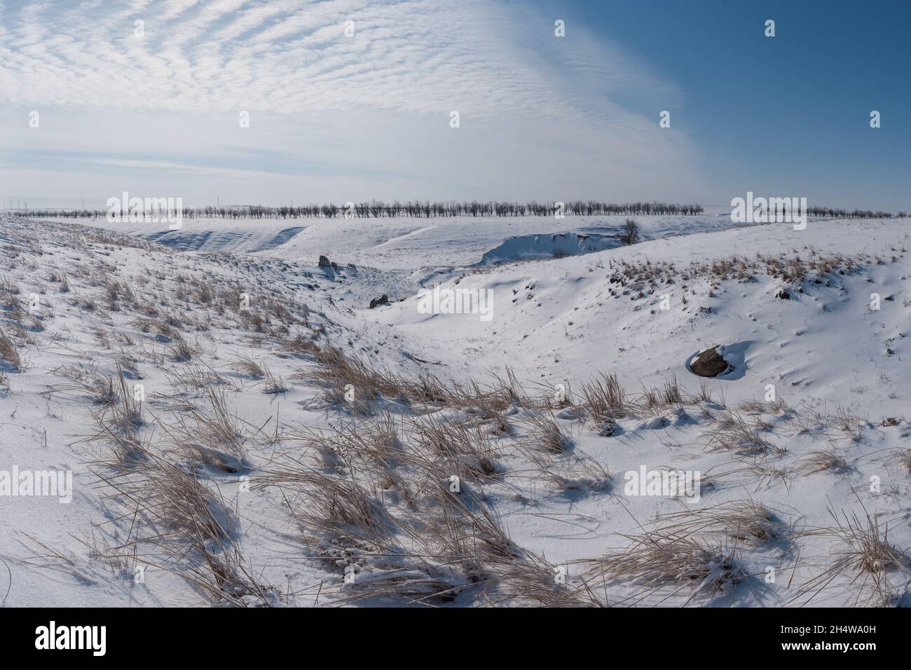 Winter landscape with steppe covered snow. Icy grass in snowy prairie ...