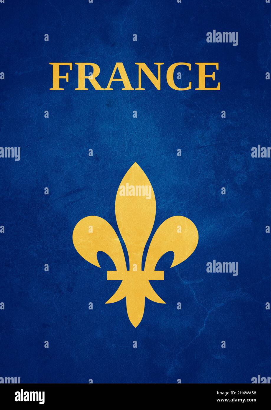 minimal design of the fleur de lys popular french symbol. vibrant color ...