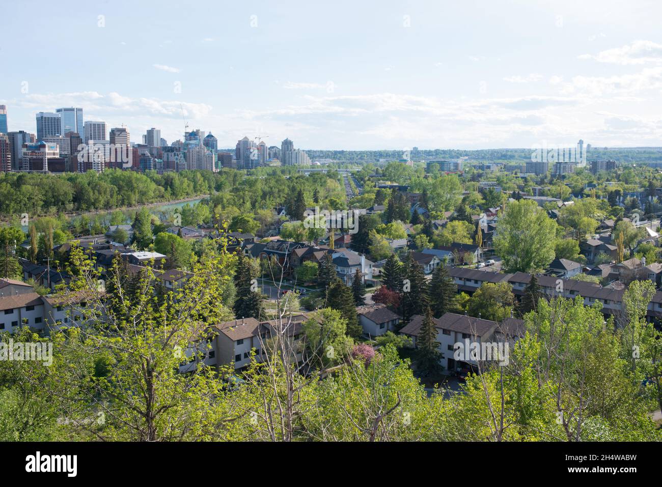 Calgary skyline in the summer hi-res stock photography and images - Alamy