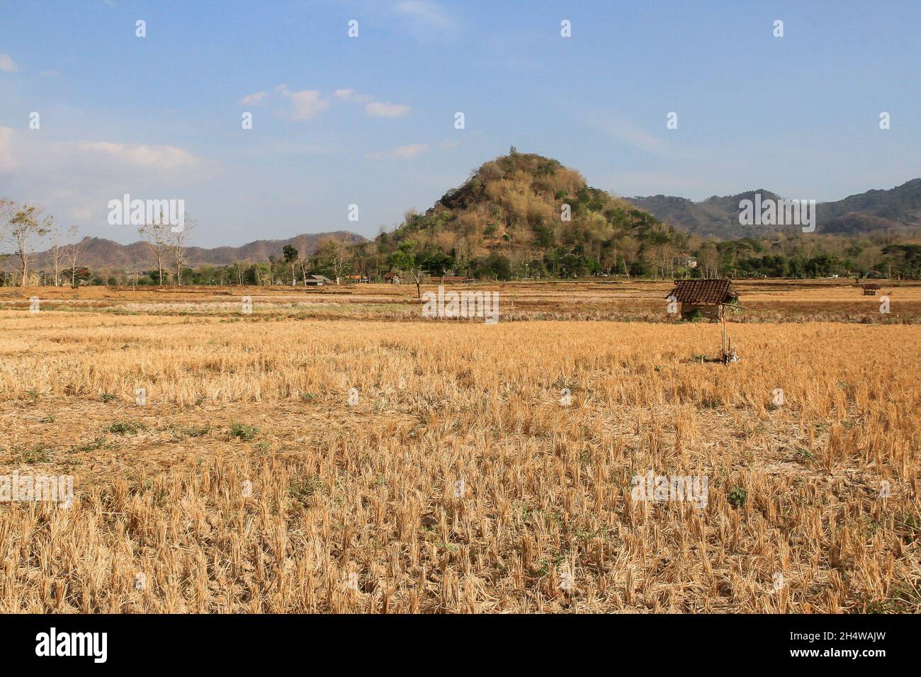 Long droughts cause agricultural areas to experience drought, some ...