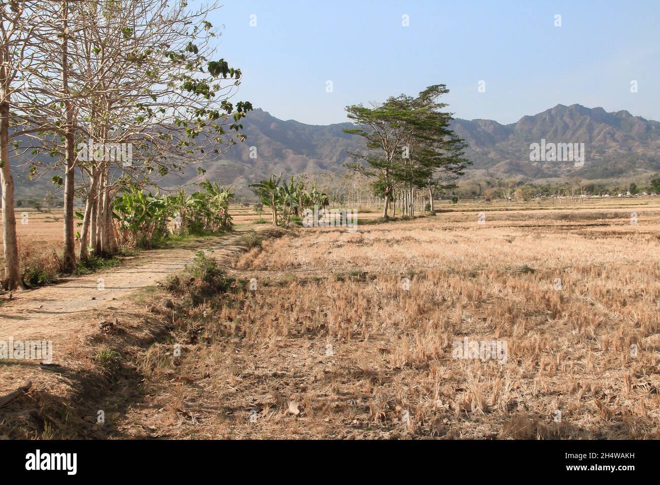 Long droughts cause agricultural areas to experience drought, some ...