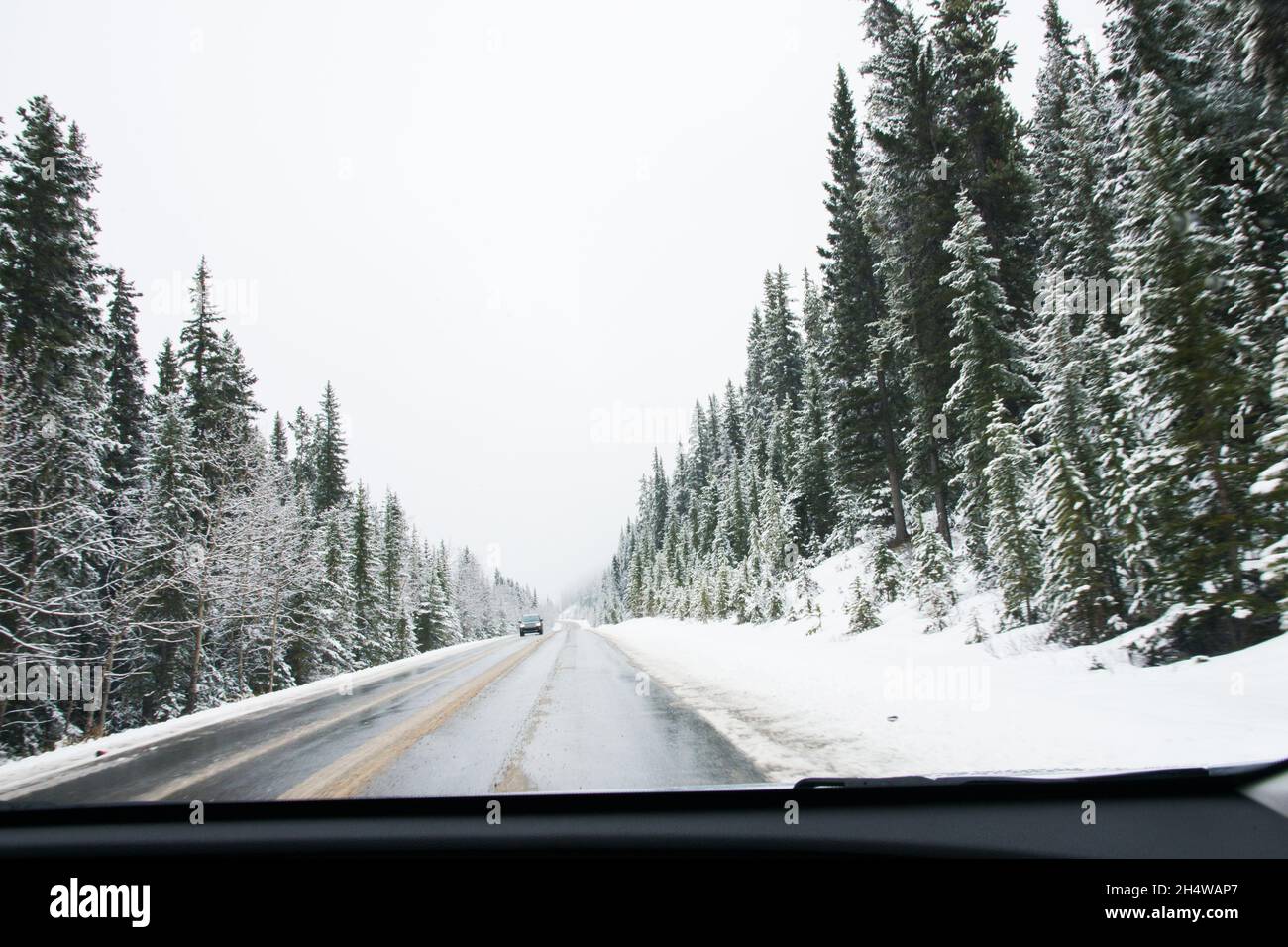 Driving on a mountain canadian road in winter. Beautiful snowed pine ...