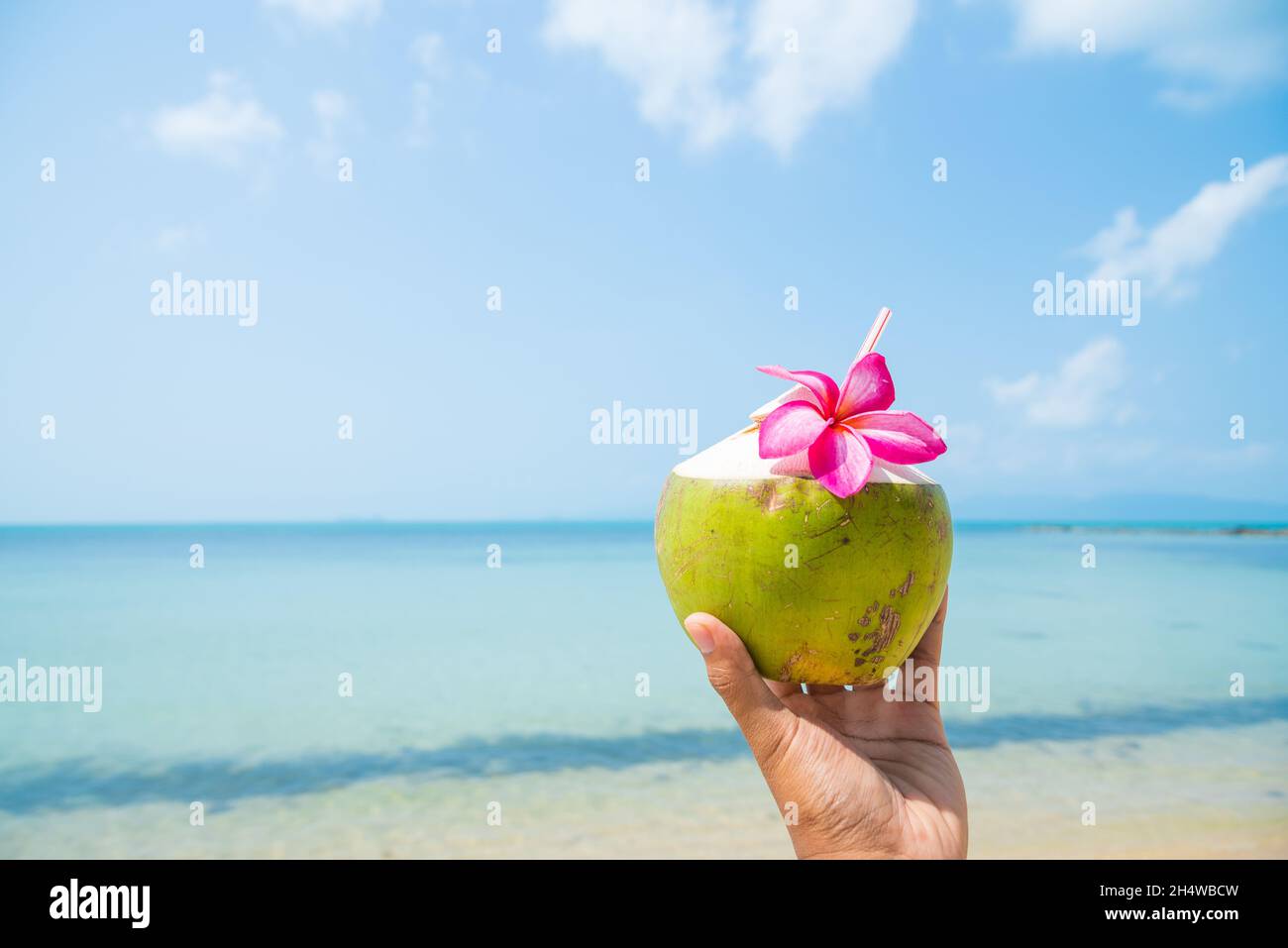 Close up hands man holding coconut on tropical beach Stock Photo - Alamy