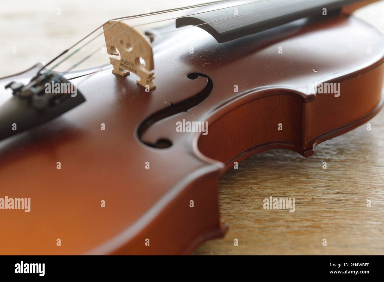 Artistic shot hi-res stock photography and images - Alamy