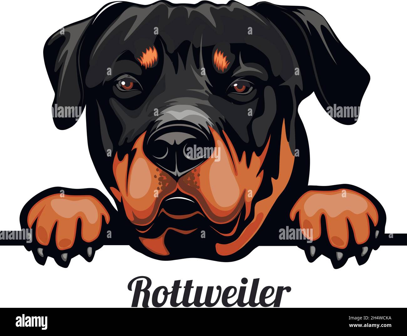 Rottweiler Vector
