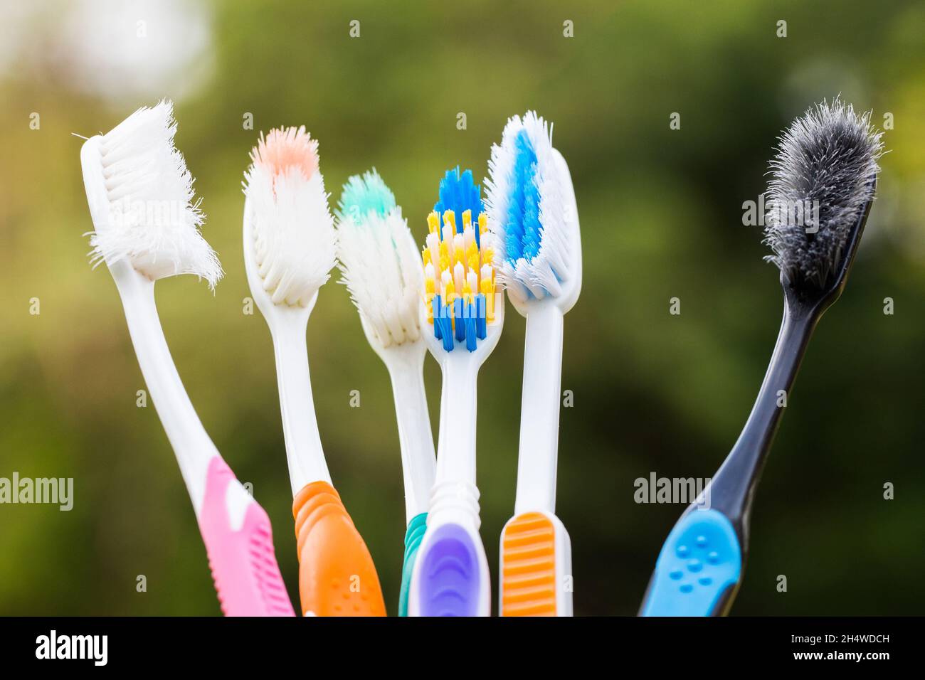 Old colorful toothbrushes on nature background Stock Photo - Alamy