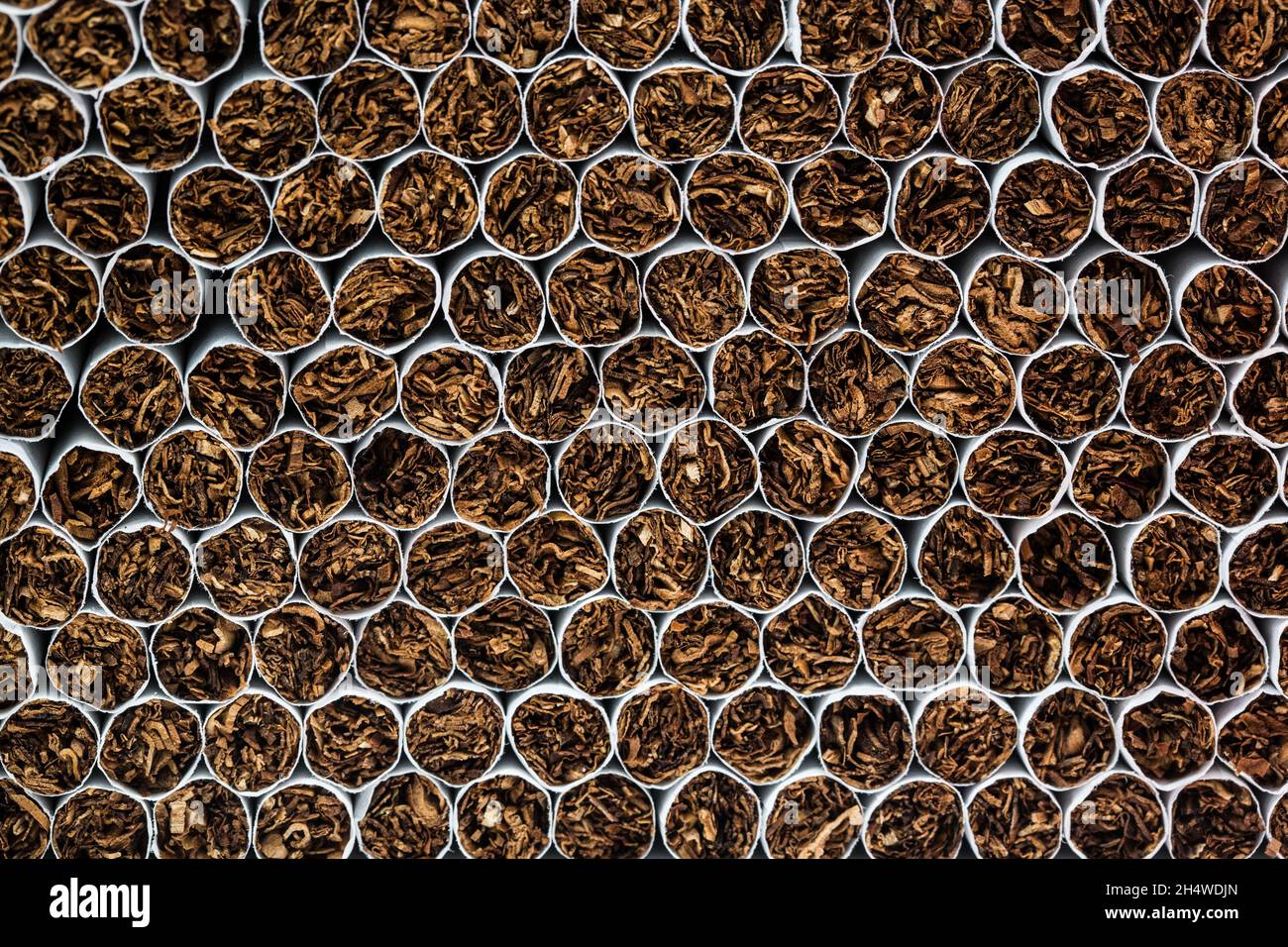 Stack of cigarette. lot of cigarette background Stock Photo - Alamy