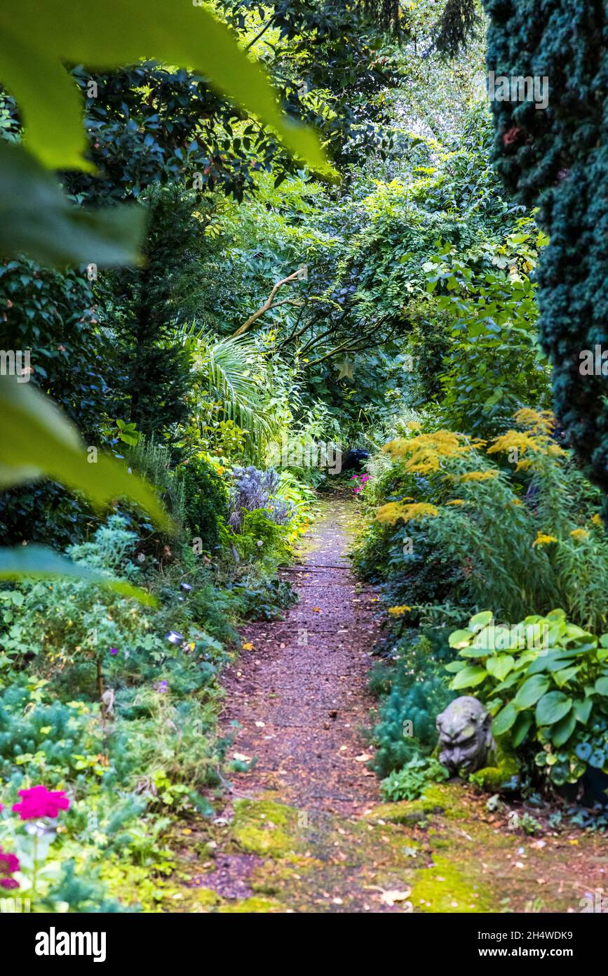 Natural view of a pathway full of beautiful flowers and greenery on ...