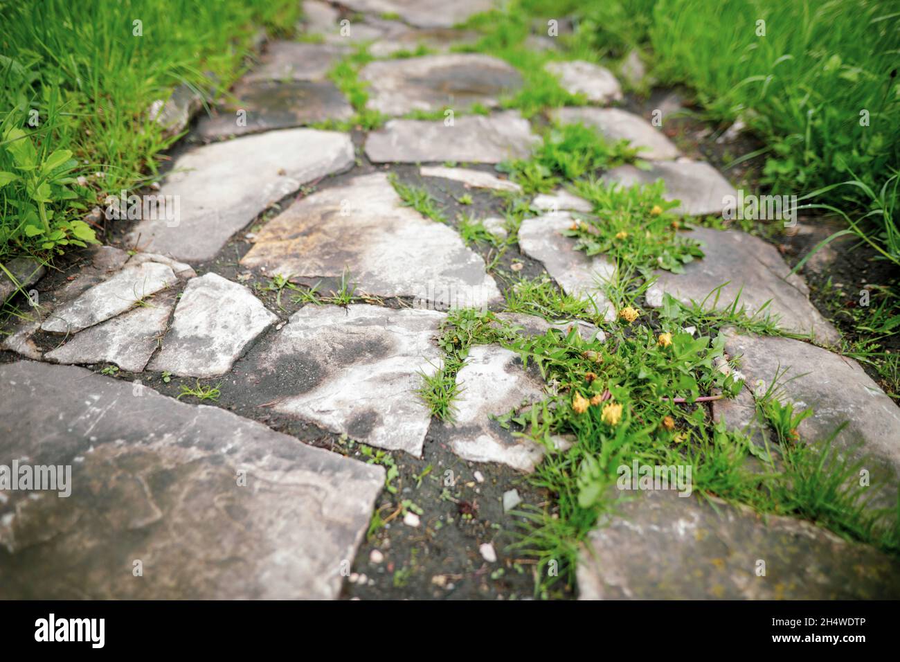 Shallow depth of field (selective focus) image with medieval stone path ...