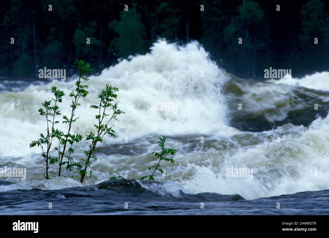 Swedish rivers hi-res stock photography and images - Alamy