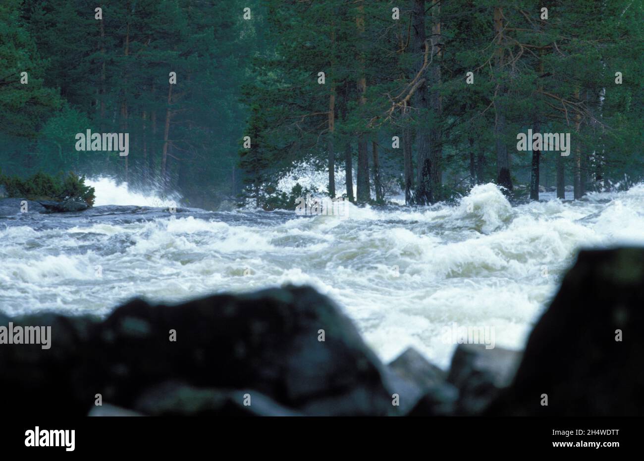 Swedish rivers hi-res stock photography and images - Alamy